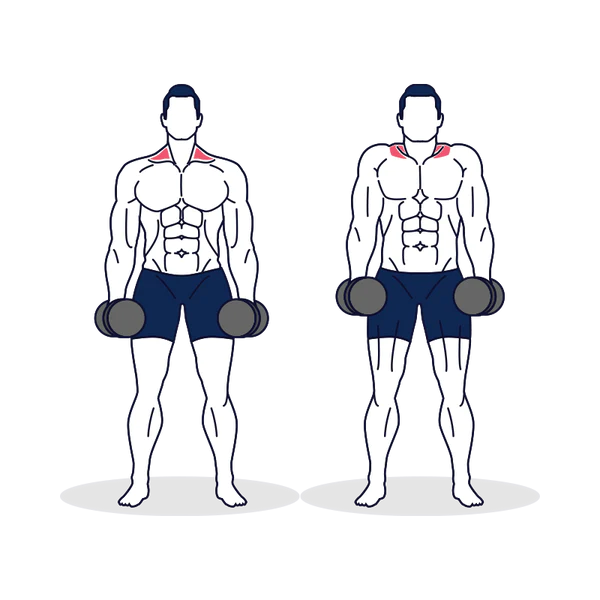 Οι 8 καλύτερες ασκήσεις για πλάτη | Repeat Fitness